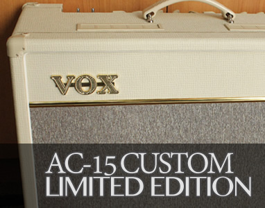 Two Tone - Guitar Shop