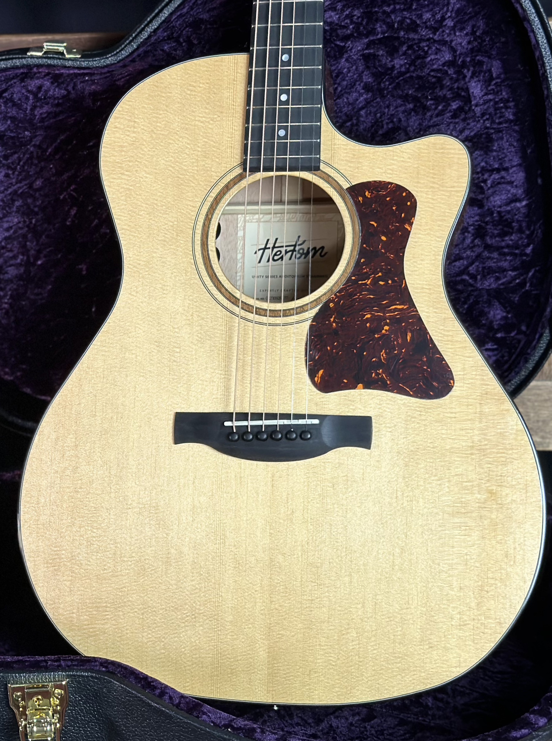 Two Tone - Hertom Grand Auditorium Standard