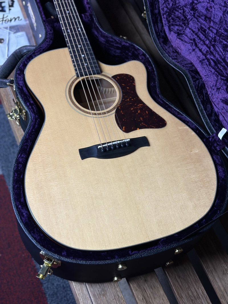 Two Tone - Hertom Grand Auditorium Standard